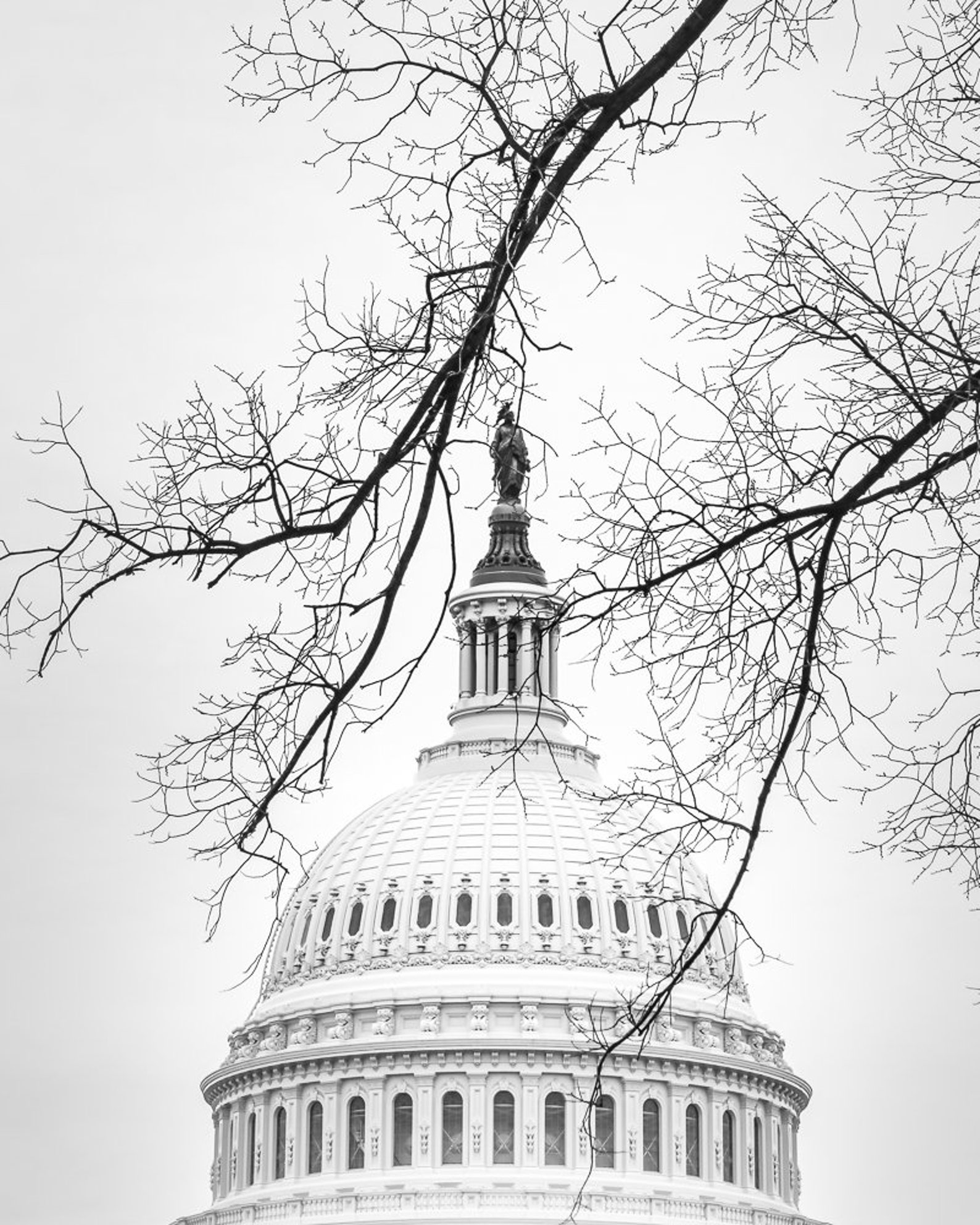 Washington DC Photography Print Set of 6 Unframed Black and | Etsy