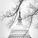 Washington DC Photography Print Set of 6 Unframed Black and - Etsy