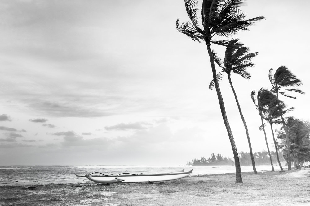 Hawaii Photography Black and White Print Hawaiian Art | Etsy