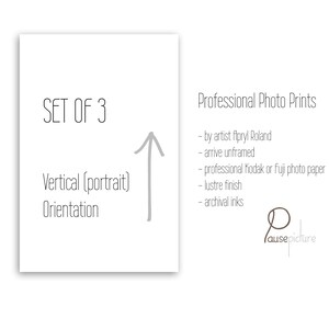 Washington DC Photography Print Set of 3, Black and White Art, Capitol ...