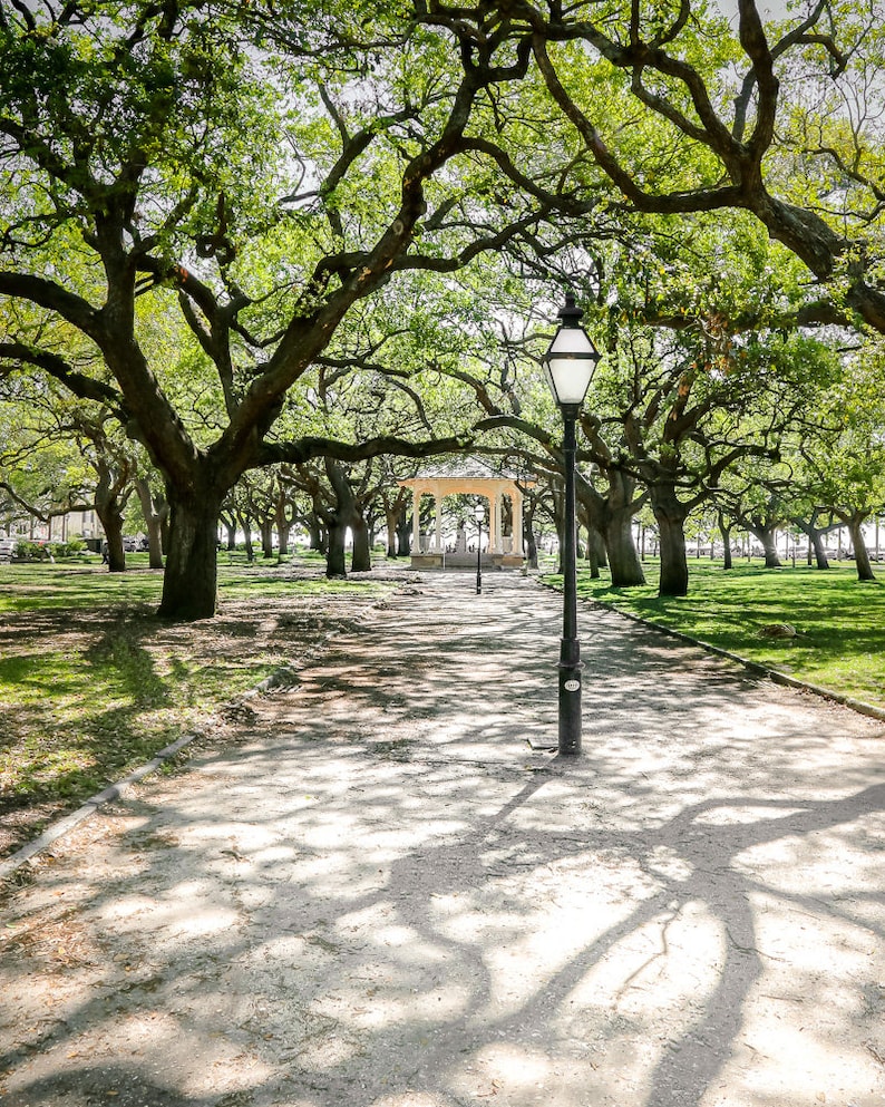 Charleston Wall Art the Battery Print White Point Garden - Etsy