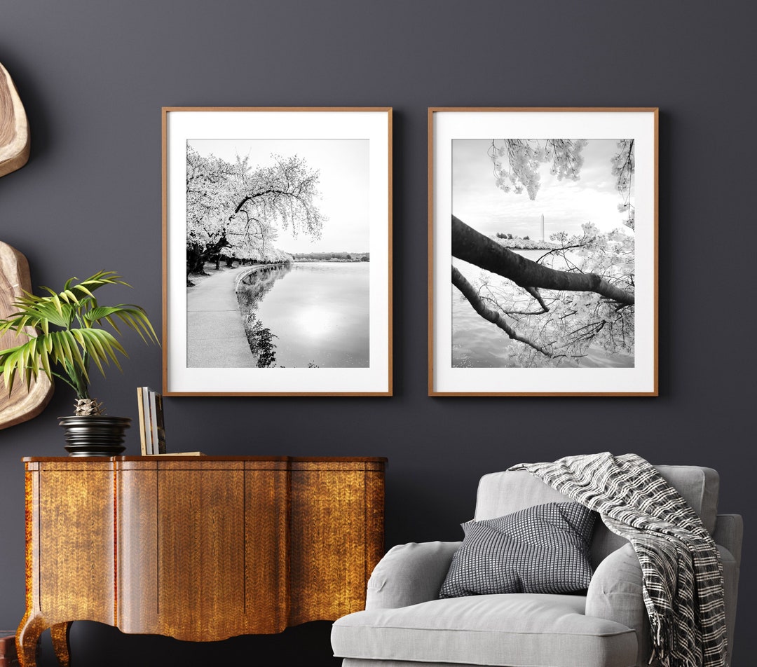 Washington DC Art - Unframed Photography Prints, Set of 2, Cherry ...