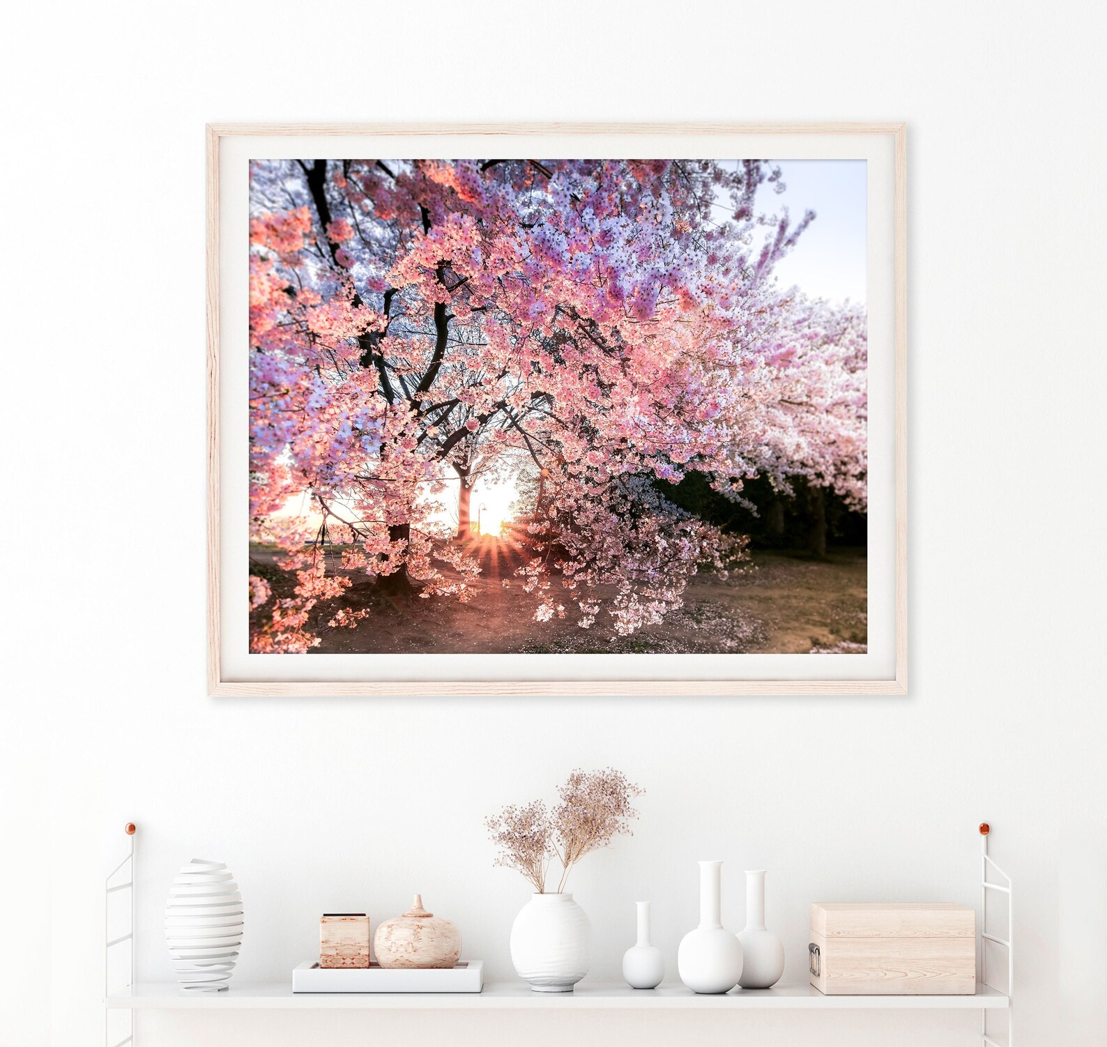 Cherry Tree Art Pink Photography Print Unframed Cherry - Etsy