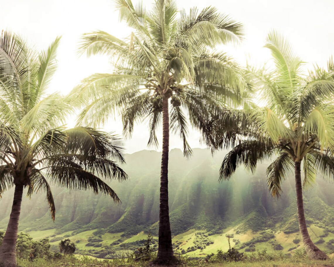 Hawaii Print Set of 3 Hawaii Photography Green Hawaiian Wall - Etsy