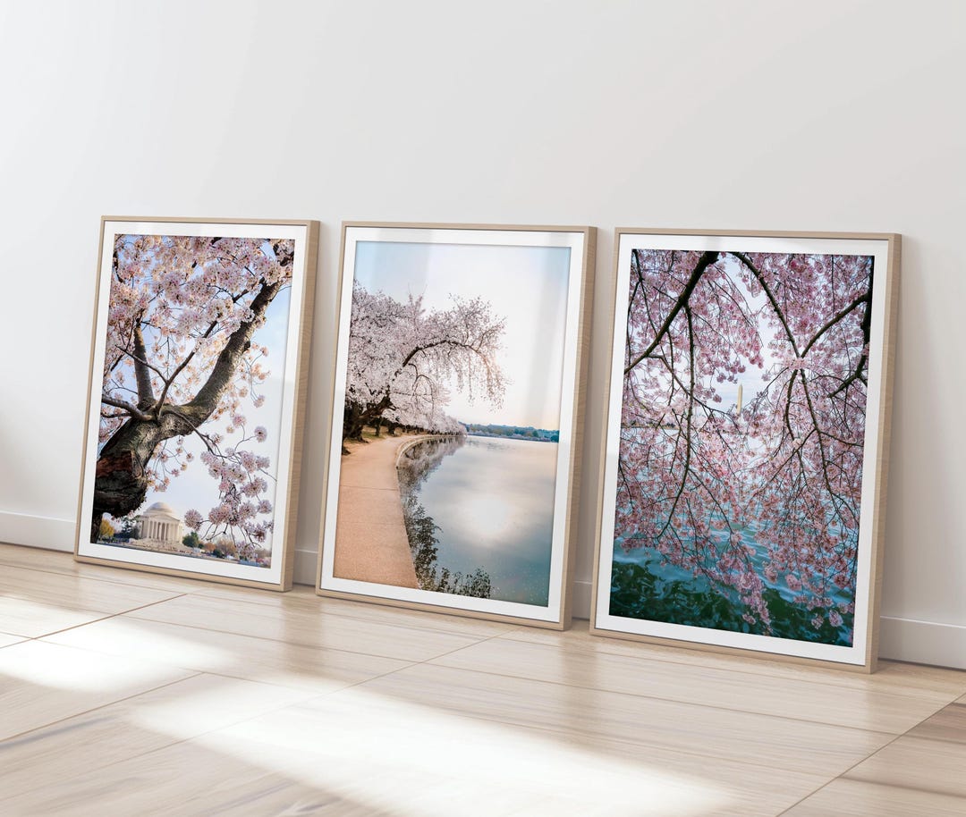 Washington DC Photography, Set of 3, Cherry Blossoms Print Set With ...