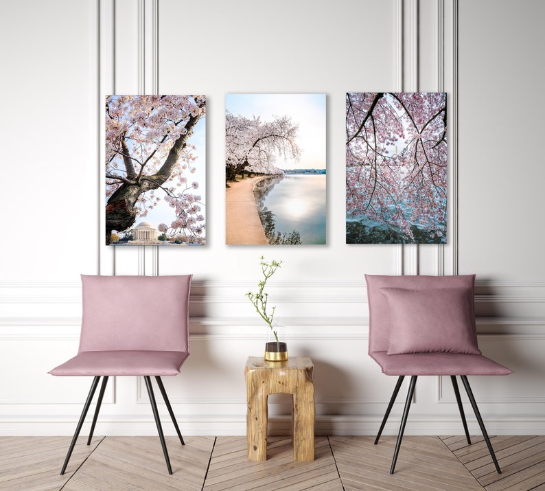 Washington DC Photography Set of 3 Cherry Blossoms Print Set - Etsy
