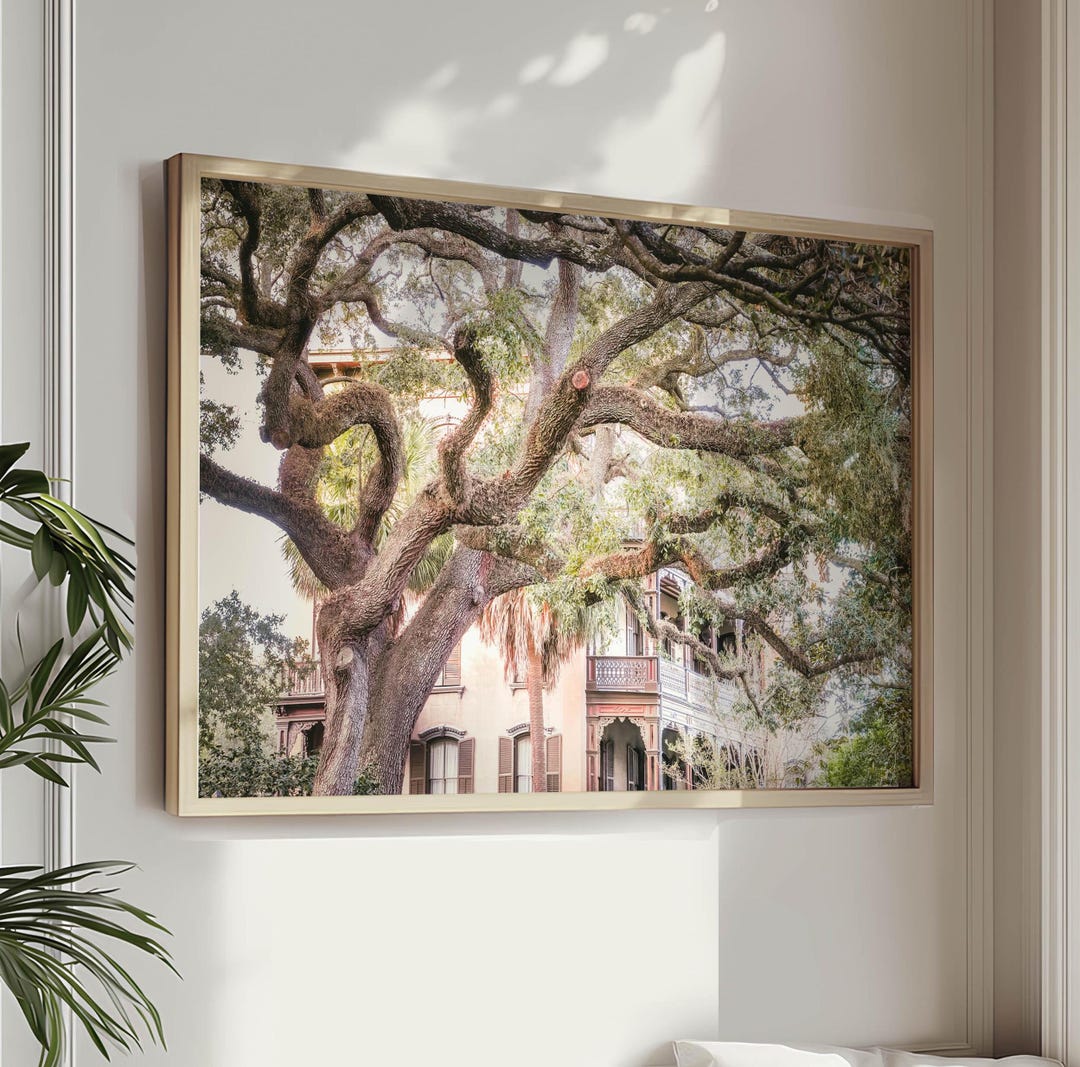 Savannah Georgia Art, Pink House Print Oak Tree Savannah GA Print ...