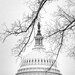 Washington DC Photography Set of 3 Black and White Art Print - Etsy