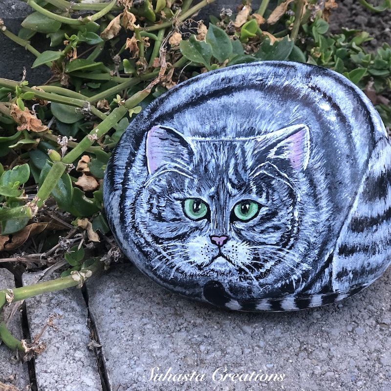 Painted Rock Cat - Etsy
