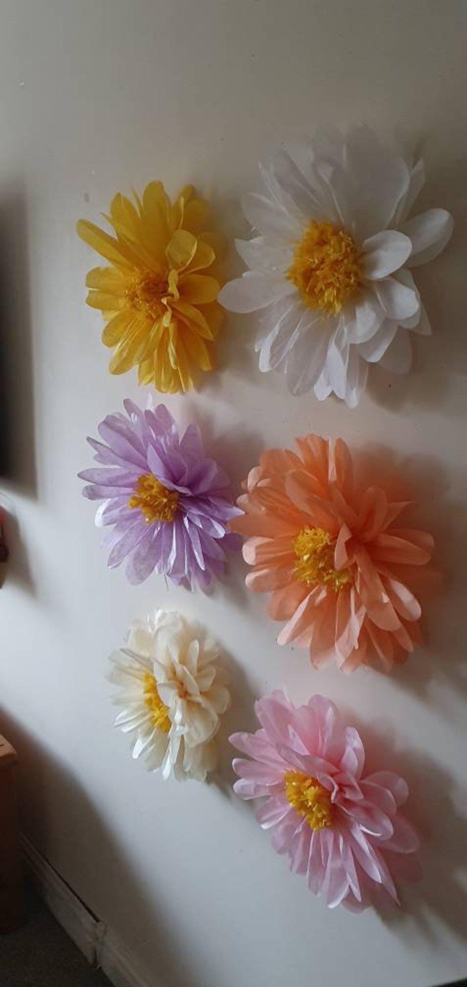 Paper Flower Wall Backdrop Daisy's Spring Wedding Party - Etsy