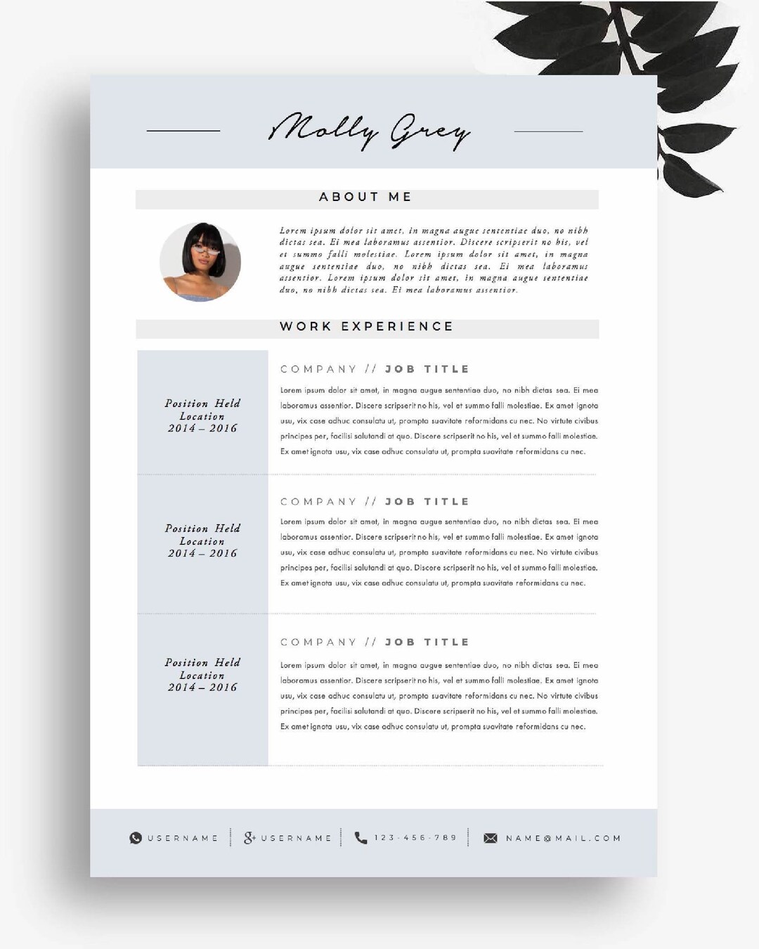 Resume Template 2 Page | CV Template + Cover Letter for Microsoft Word ...