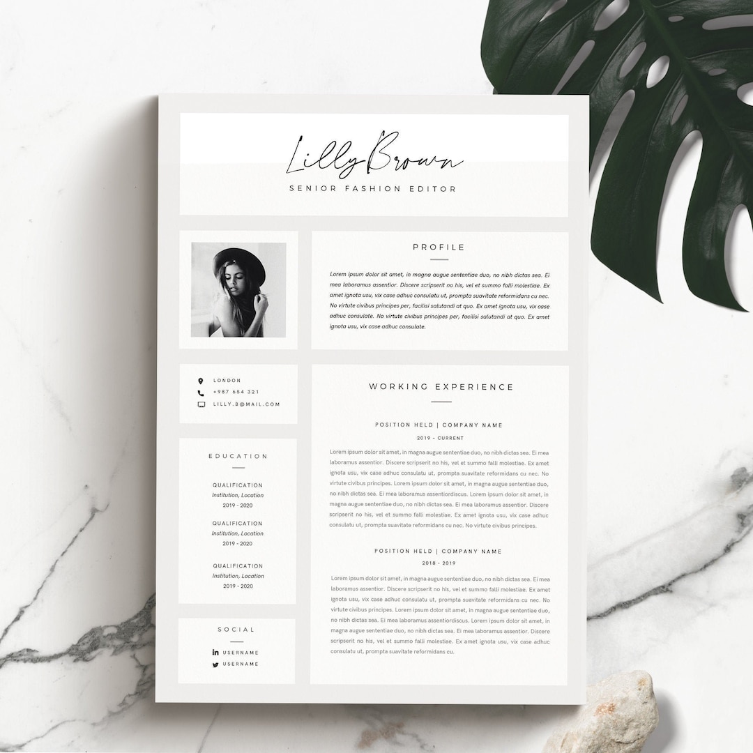 Modern Resume Template for Microsoft Word | Lilly | CV Template With ...