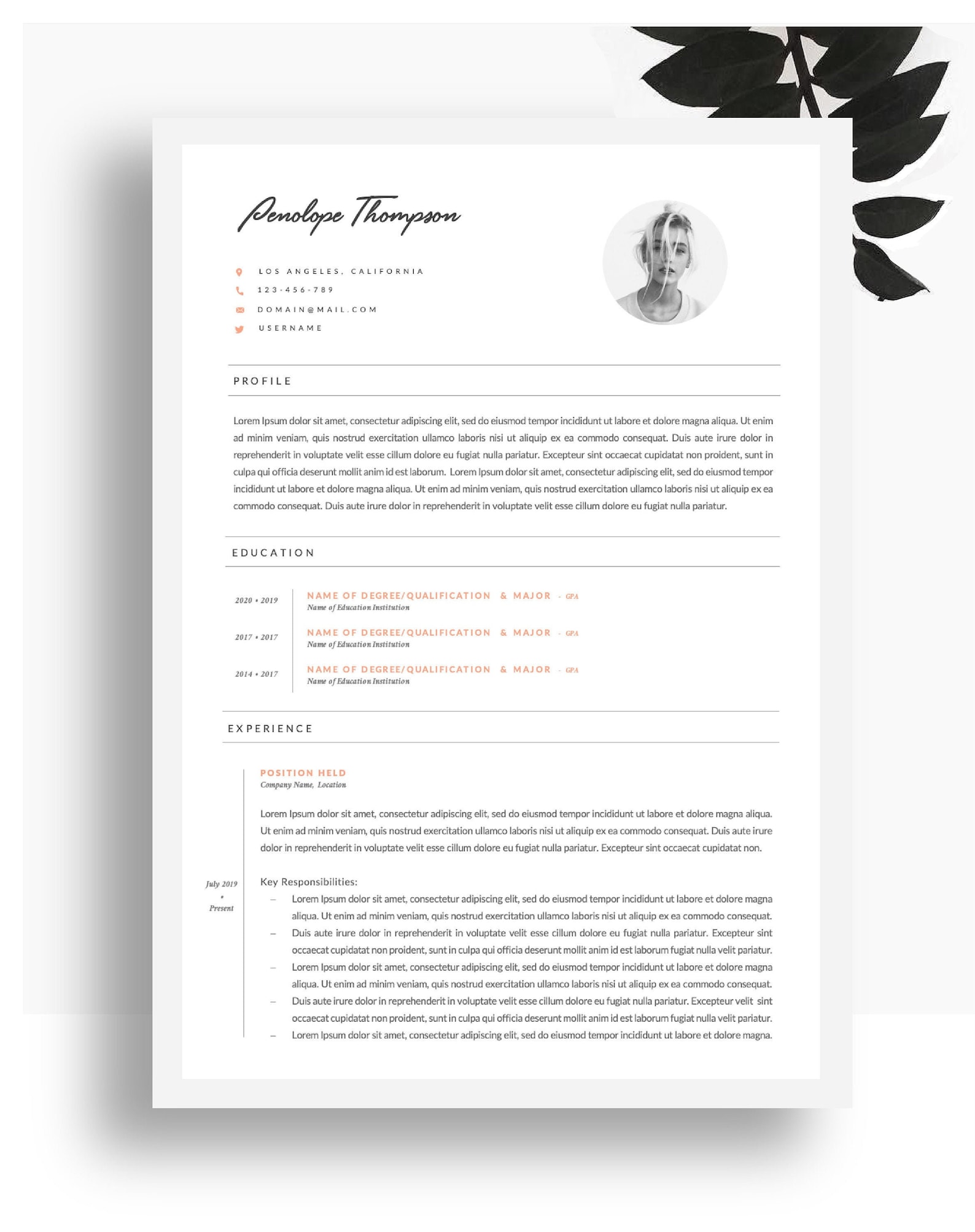3 Page Resume Template | "blanco" CV Template With Cover Letter for ...