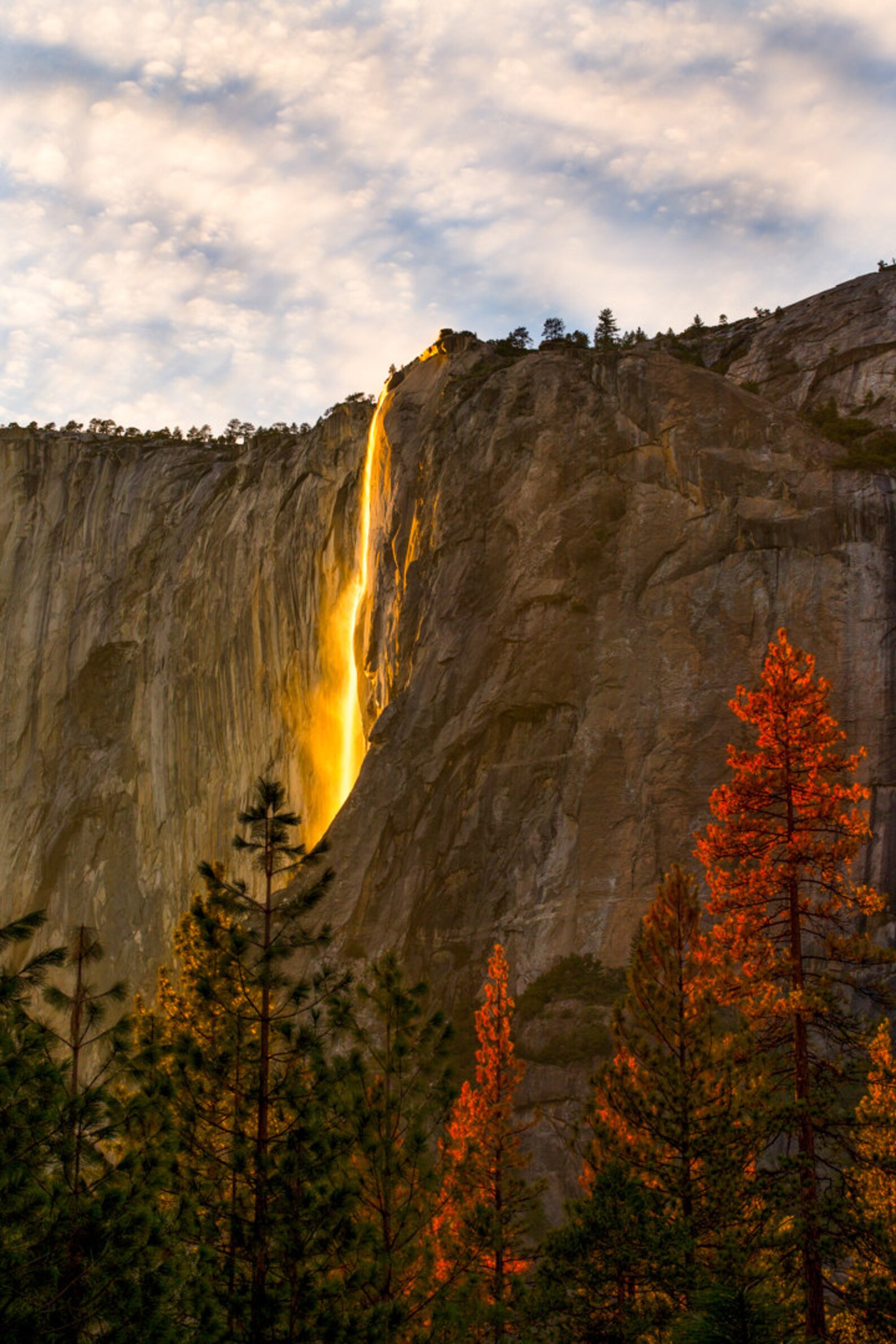 Yosemite Waterfalls Photo Print Nature Landscape Photo of Waterfall at ...