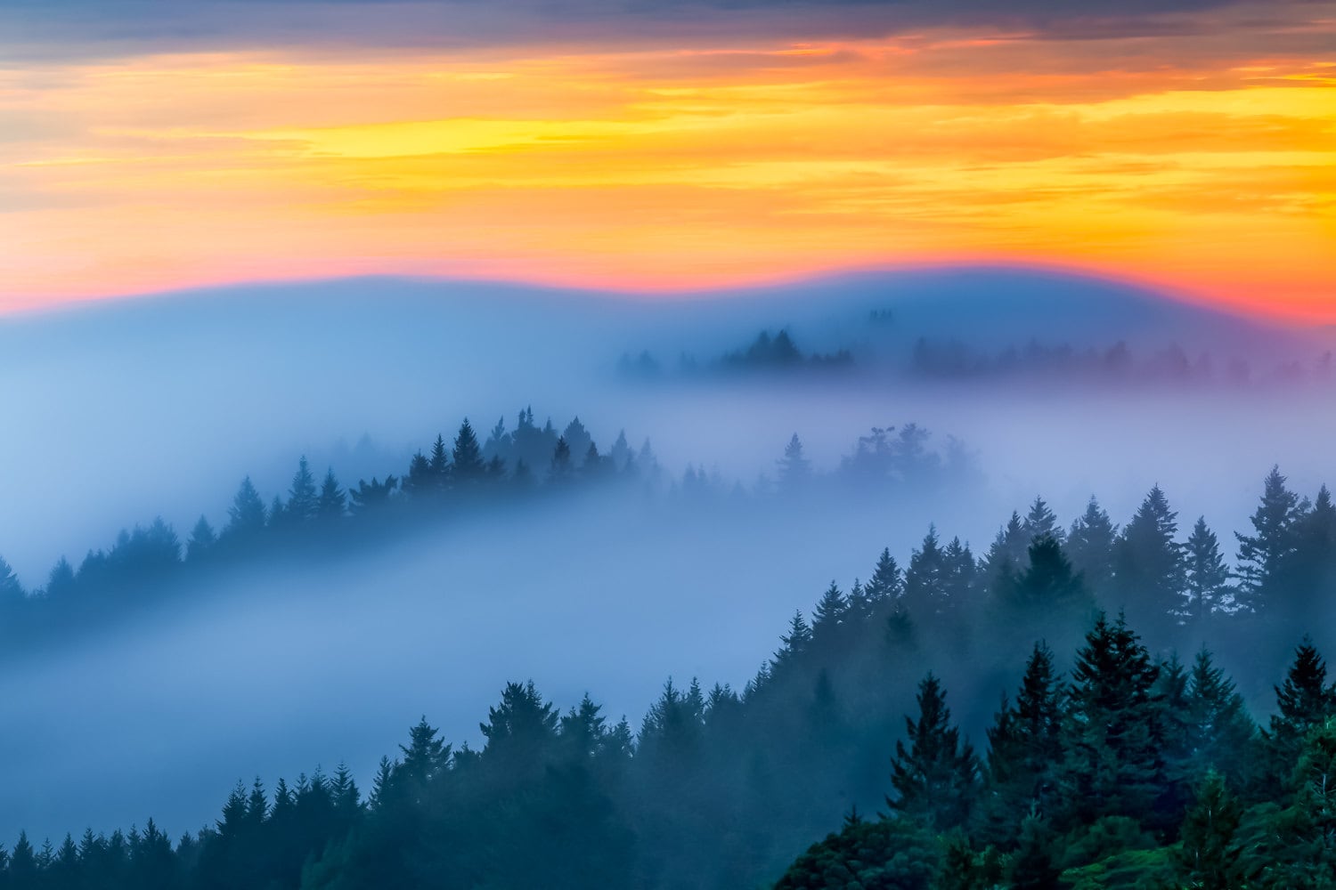 Mountain Sunset Fog Photograph A Photo Print of a Mountain Landscape ...