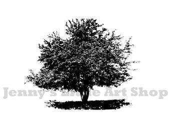 Mulberry Tree Logo - Etsy