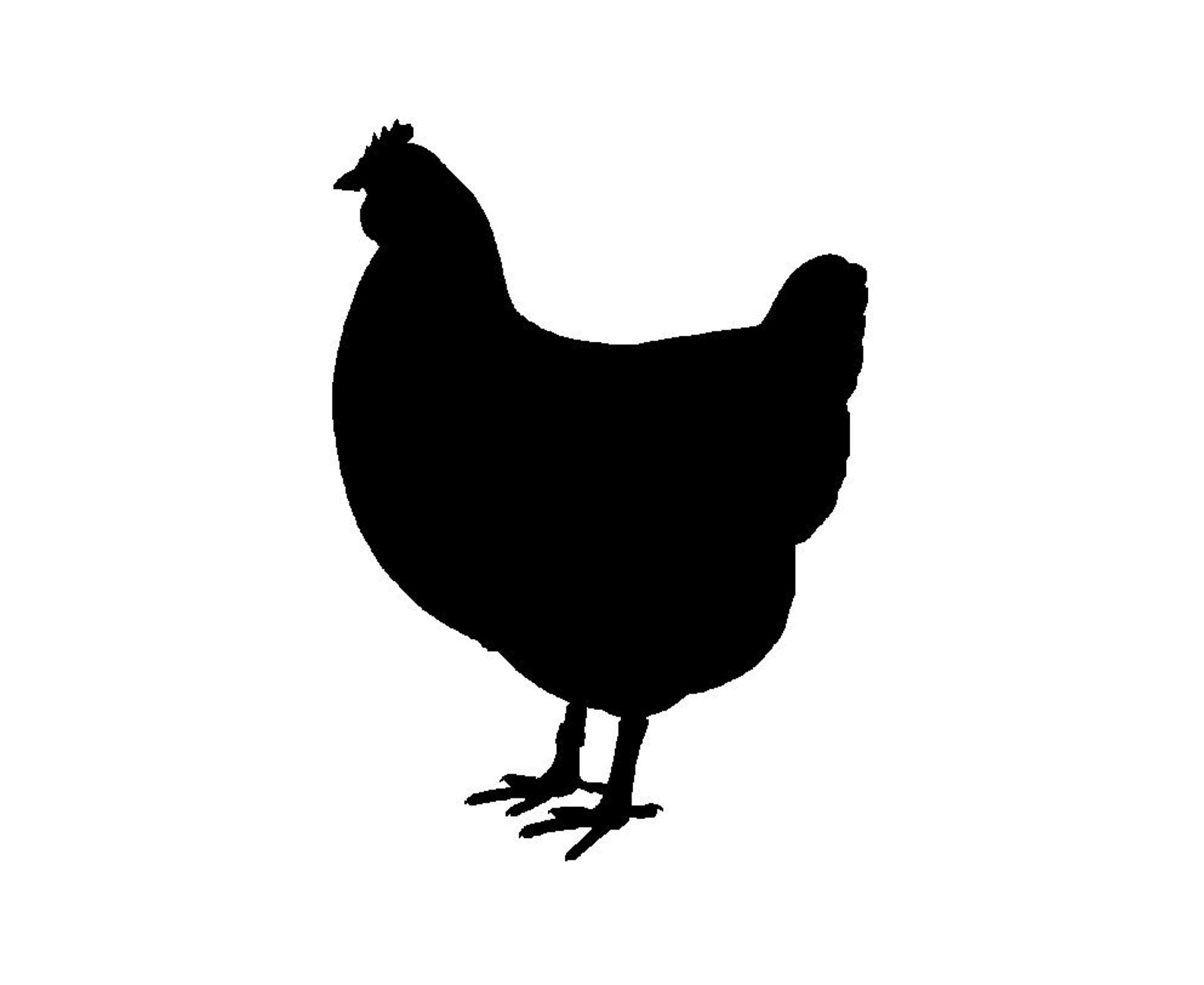 Chicken Vector Graphic - Hen SVG File Instant Download - Etsy