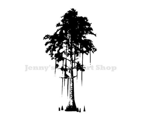 Cypress Tree Swamp Graphic Vector and PNG Instant Download - Etsy