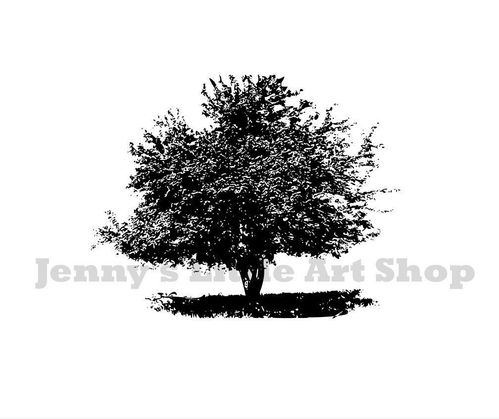 Mulberry Tree Graphic Vector and PNG Instant Download SVG and PNG Files ...