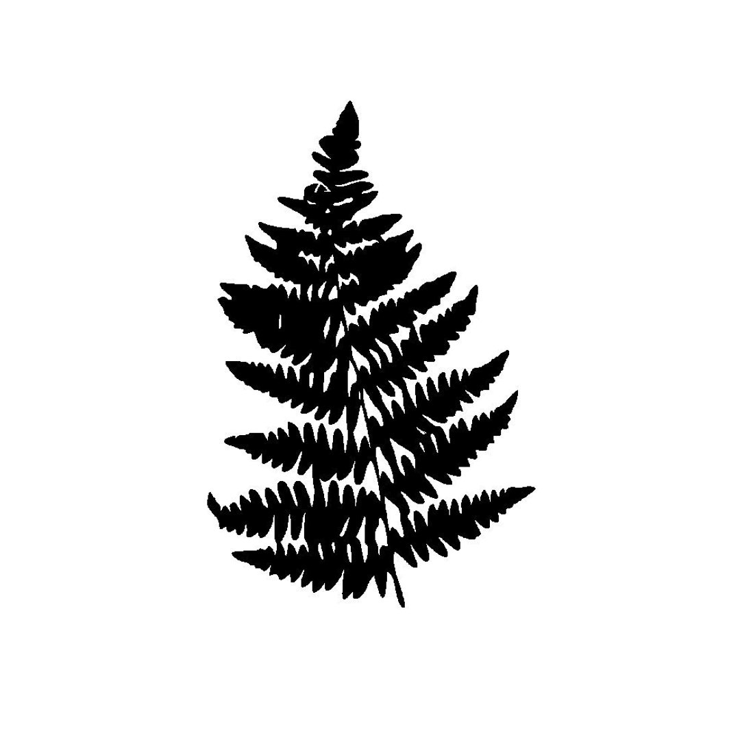 Fern Vector Graphic - Instant Download SVG File for Cricut, Digital ...