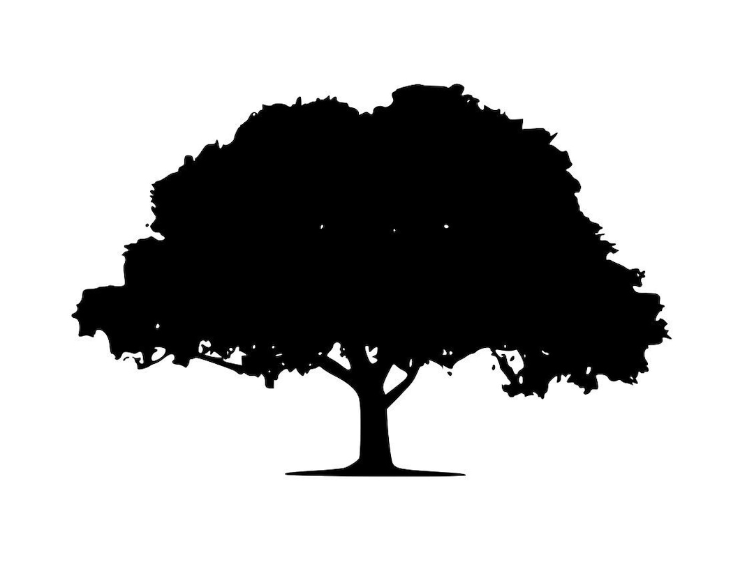 Oak Tree Graphic - Instant Download SVG and PNG Files for Digital ...