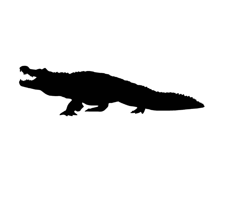 Alligator Graphic Vector and PNG Instant Download SVG and PNG Files for ...