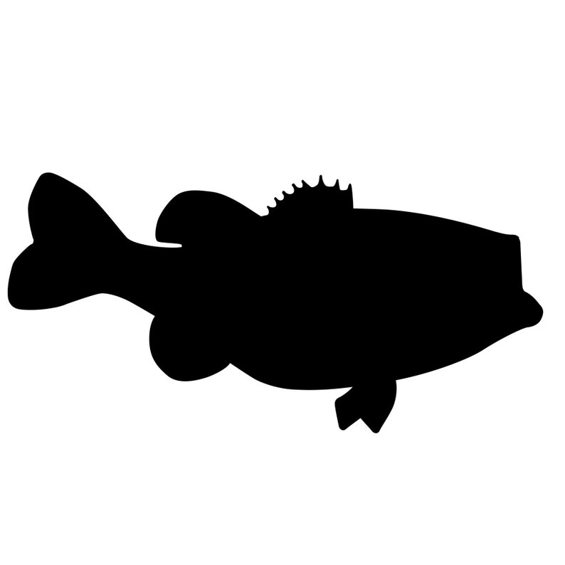 Largemouth Bass Graphic - Fish Vector Graphic - Digital Download - Etsy