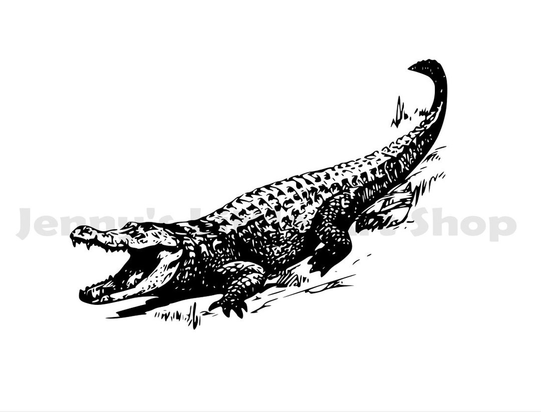 Alligator Graphic Vector and PNG Instant Download - SVG and PNG Files ...
