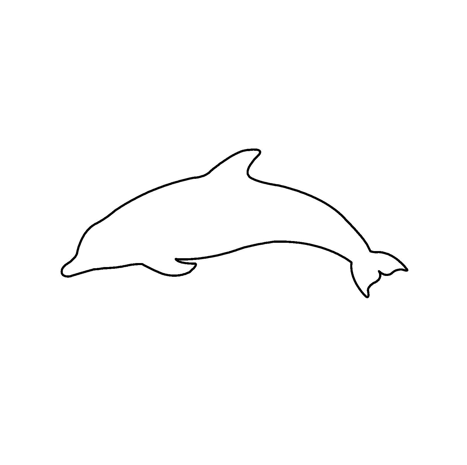 Dolphin Outline Template