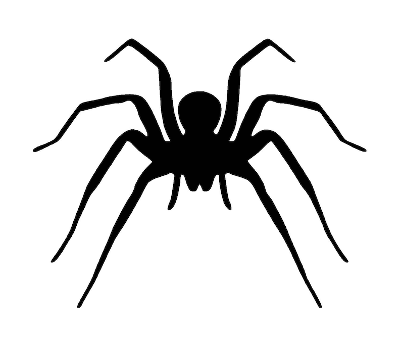 Spider SVG Digital Download - Spider Graphic - Digital Download Spider ...