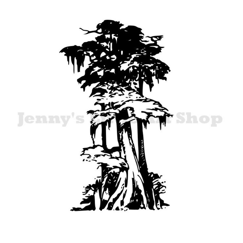 Cypress Tree - Etsy