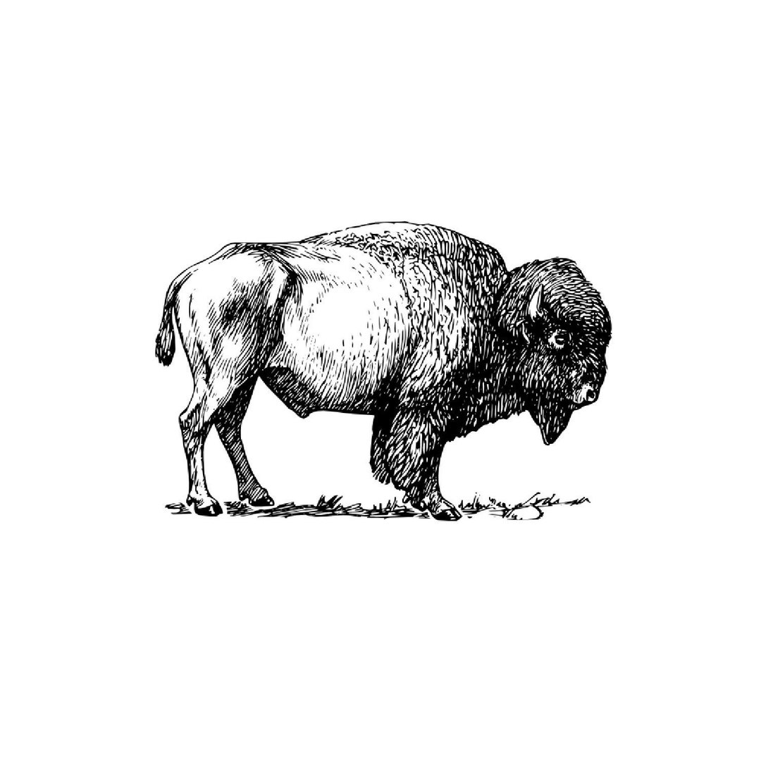 Vintage Buffalo Graphic - SVG and PNG Files for T-shirts, Mugs, Graphic ...