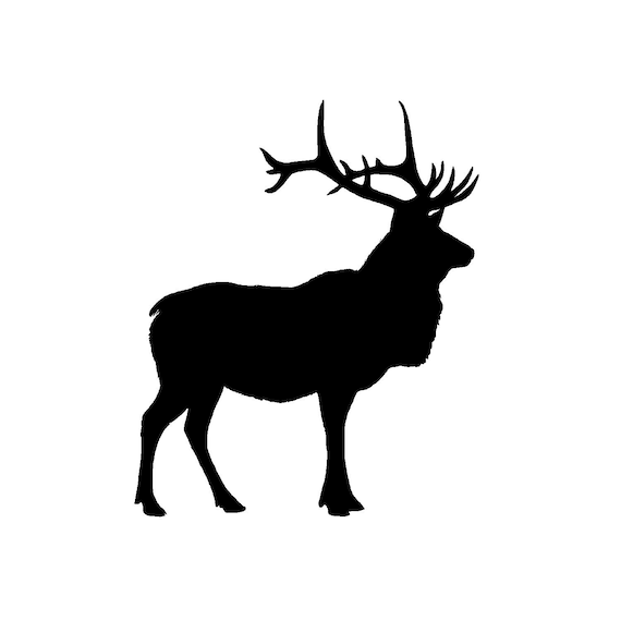 Elk Graphic Instant Digital Download SVG and PNG Files - Etsy