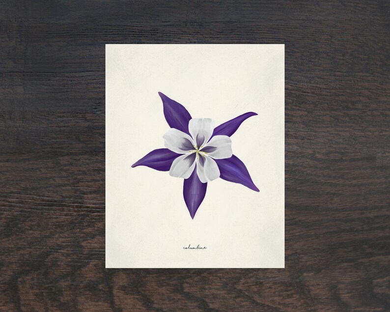 Columbine Art Colorado State Flower Art Wildflower Art - Etsy