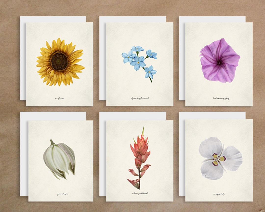 Flower Cards Floral Greeting Cards Wildflower Cards Spring - Etsy