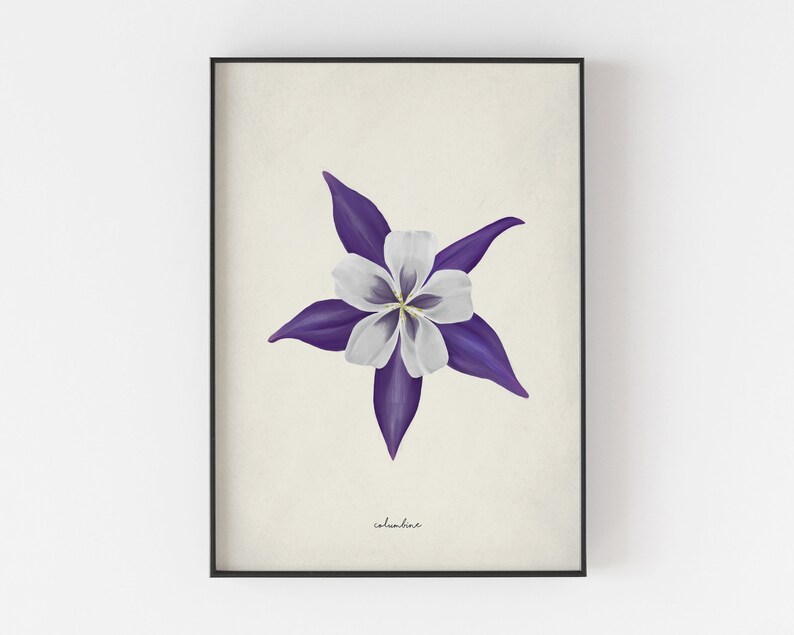 Columbine Art Colorado State Flower Art Wildflower Art - Etsy