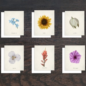 Flower Cards Floral Greeting Cards Wildflower Cards Spring - Etsy