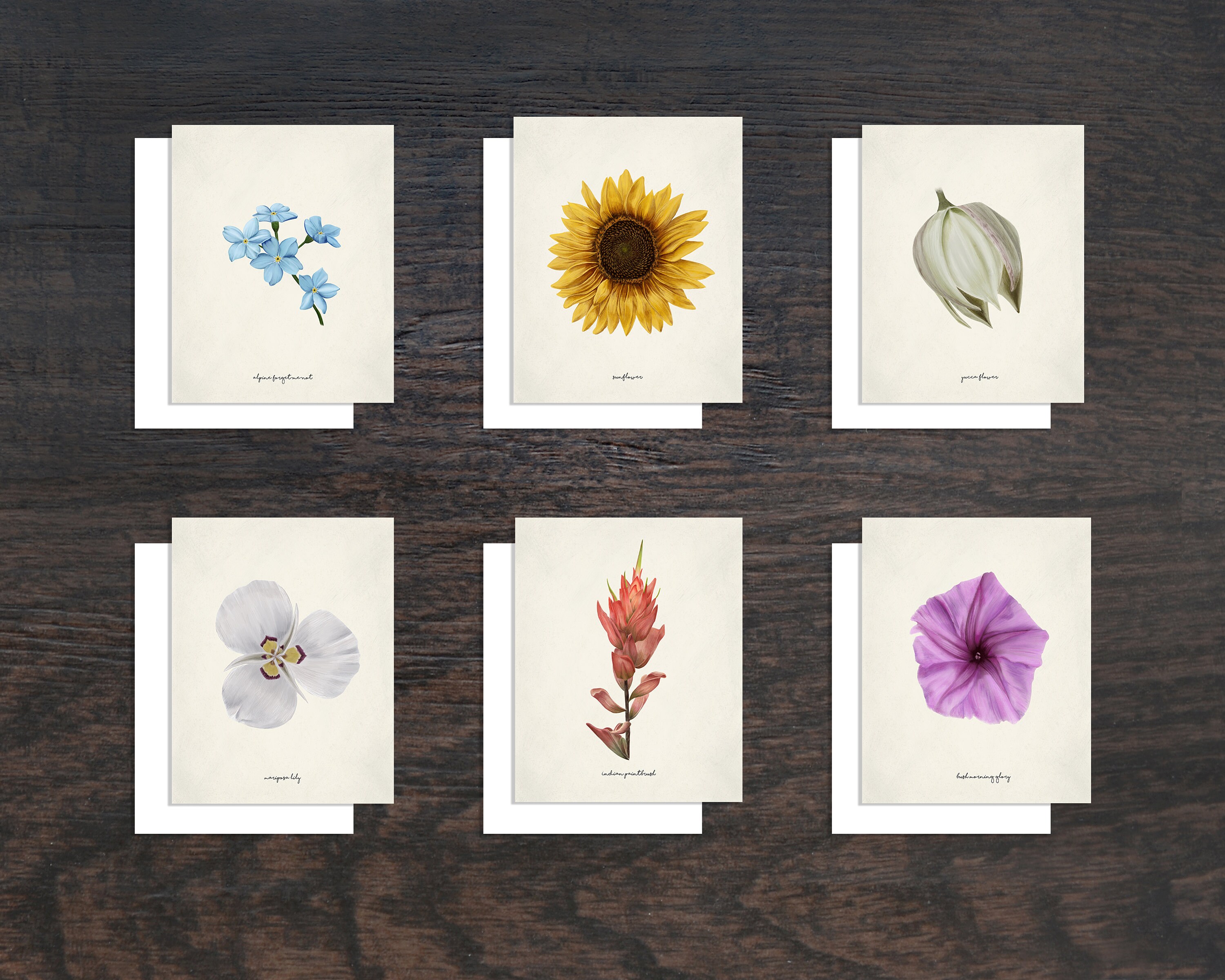 Flower Cards Floral Greeting Cards Wildflower Cards Spring | Etsy