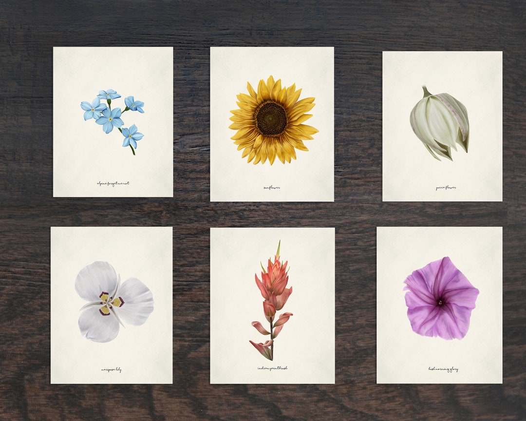 Floral Wall Art, Flower Print Set, Wildflower Prints, Botanical ...