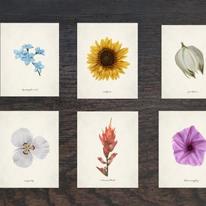 Floral Wall Art, Flower Print Set, Wildflower Prints, Botanical ...