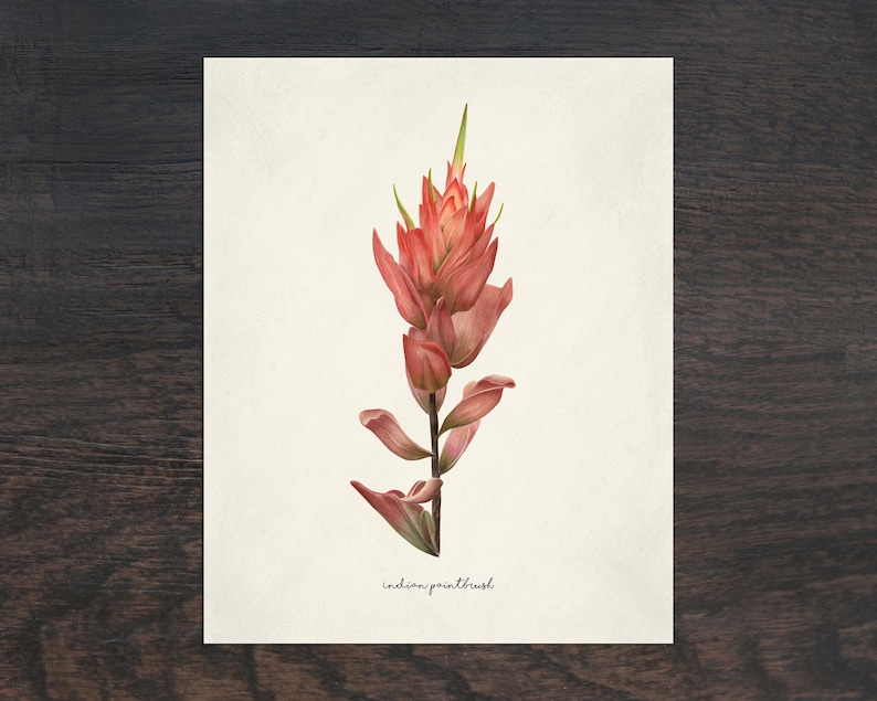 Floral Wall Art Flower Print Set Wildflower Prints | Etsy