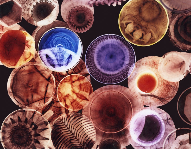 Abstract Art Print, Darkroom Created Photogram, Digital Download ...