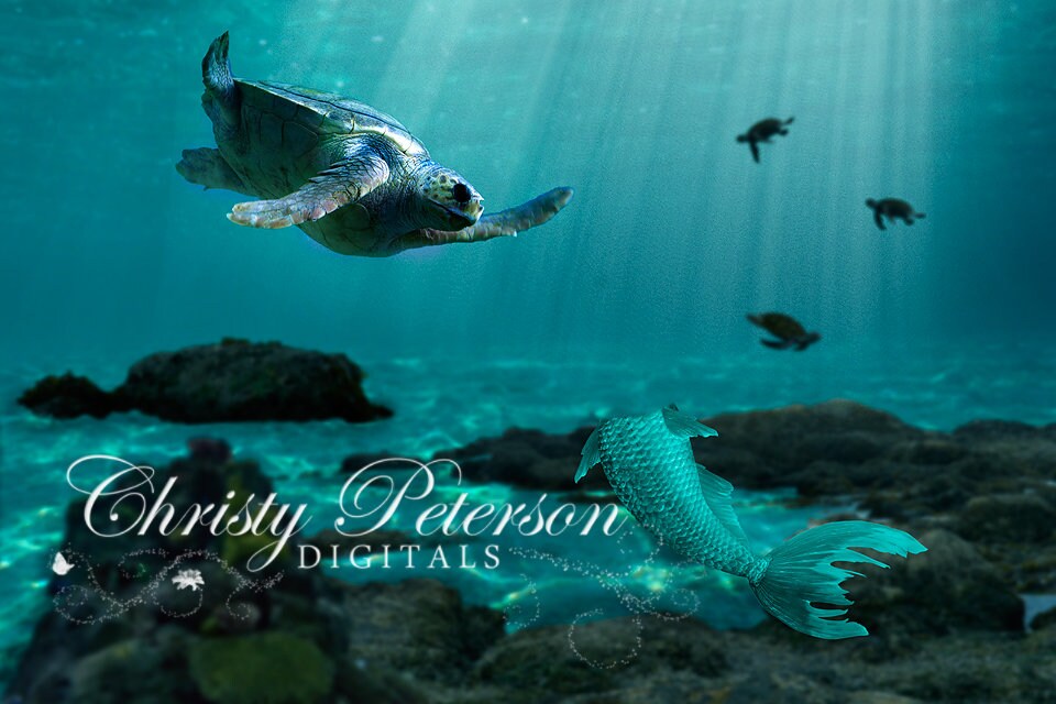 Caryn Peterson Wallpaper