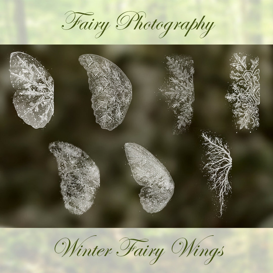 7 Digital Winter Fairy Snow Frost Wing PNG OVERLAYS - Etsy