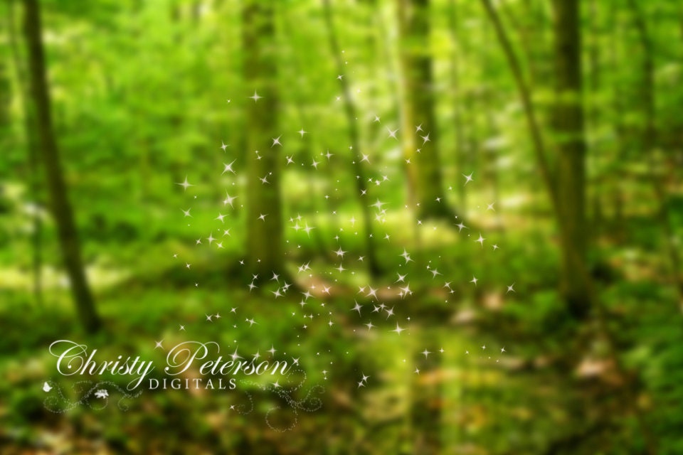 Mostly for Fairies 5 Magical Fantasy Digital Overlays | Etsy