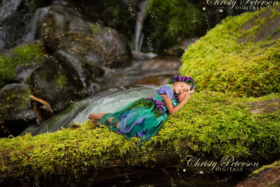 Fairy Tale Effects 5 Magical Digital PNG Photography Overlays | Etsy