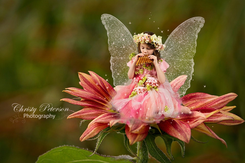 Red Sunflower Fantasy Digital Background for Fairy Composites | Etsy