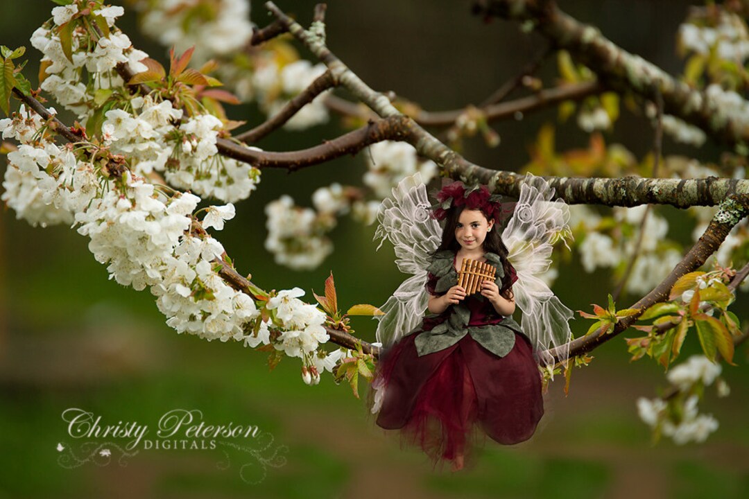 White Flowering Cherry Tree Fantasy Digital Background for Fairy ...
