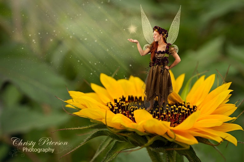 Yellow Sunflower Fantasy Digital Background for Fairy Tale - Etsy