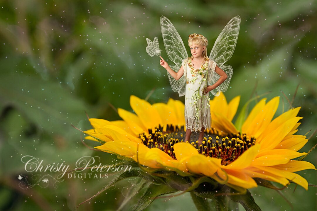 Yellow Sunflower Fantasy Digital Background for Fairy Tale Composites ...